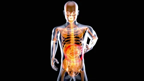 4K abstract anatomy animation of a stoma... | Stock Video | Pond5