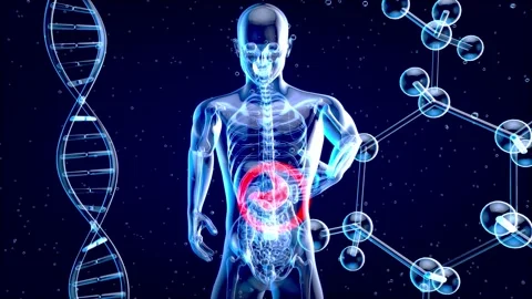 4K abstract anatomy animation of a stoma... | Stock Video | Pond5