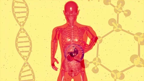 4K abstract anatomy animation of a stoma... | Stock Video | Pond5