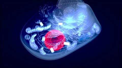 4K abstract animation of the biological ... | Stock Video | Pond5