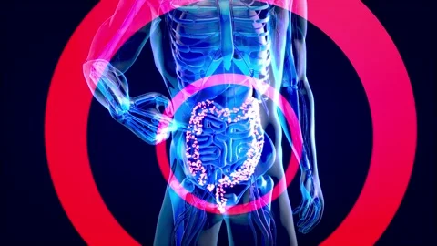 4K abstract animation of the gut microbi... | Stock Video | Pond5