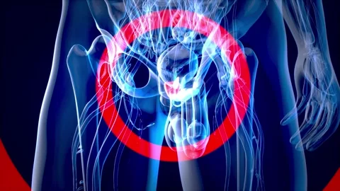 4K abstract animation of the prostate gl... | Stock Video | Pond5