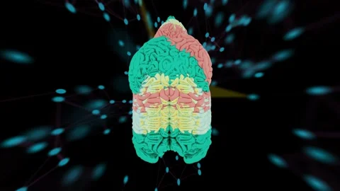4K Abstract Brain Parts Rotating 3D Rend... | Stock Video | Pond5