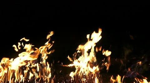 Fire 4K Video Stock Videos – Royalty-Free HD & 4K Videos | Pond5