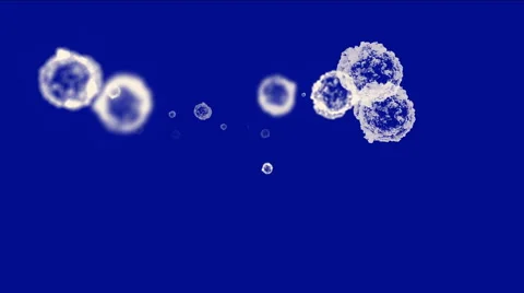 4k Abstract cells virus dust particles b... | Stock Video | Pond5