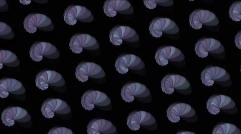 4k Abstract conch shell pattern backgrou... | Stock Video | Pond5