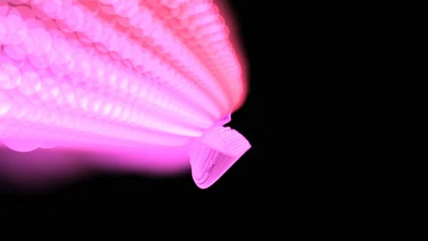 A Gradient Transition Stock Videos – Royalty-Free HD & 4K Videos