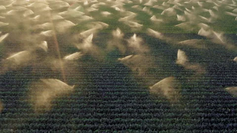 Fieldin Irrigation Stock Videos – Royalty-Free HD & 4K Videos | Pond5