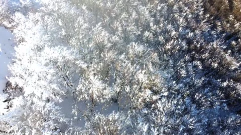 Background Cover Texure Stock Videos – Royalty-Free HD & 4K Videos | Pond5