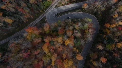 Birding By Train Stock Videos – Royalty-Free HD & 4K Videos