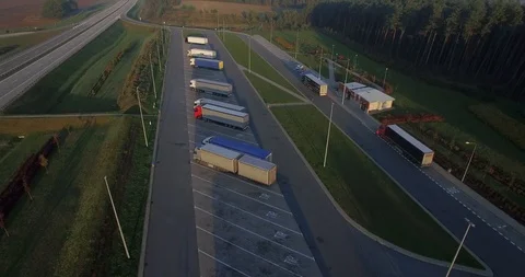 Close Florry Stock Videos – Royalty-Free HD & 4K Videos