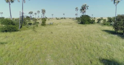 4K aerial fly over side view of a safari... | Stock Video | Pond5