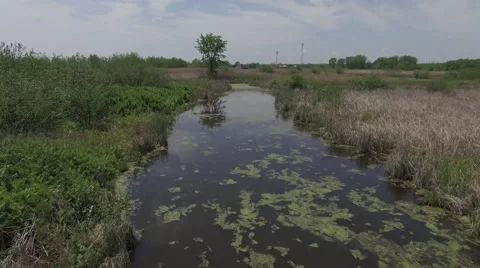 4k aerial marshy ecosystem water channel | Stock Video | Pond5