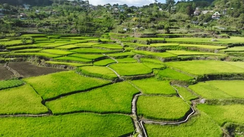 4K Aerial Panorama, Sagada Rice Terraces... | Stock Video | Pond5