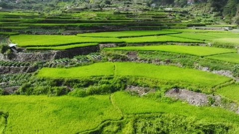 4K Aerial Panorama, Sagada Rice Terraces... | Stock Video | Pond5