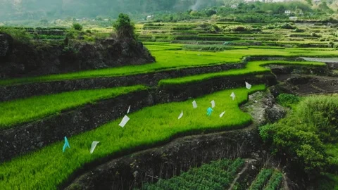 4K Aerial Panorama, Sagada Rice Terraces... | Stock Video | Pond5
