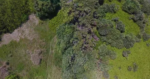 4K AERIAL SATELLITE VIEW PAN FROM FOREST... | Stock Video | Pond5