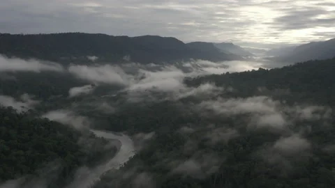 Amazon River Rainforest Stock Footage ~ Royalty Free Stock Videos | Pond5