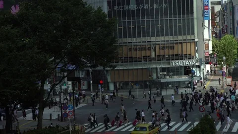4K Aerial view of crowd pedestrian cross... | Stock Video | Pond5