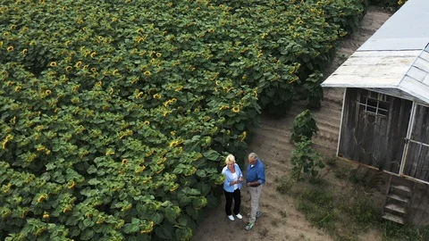 Farmer Using Ipad Stock Videos – Royalty-Free HD & 4K Videos | Pond5