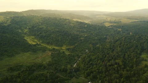 4k aerial view of the Mau Forest in the ... | Stock Video | Pond5