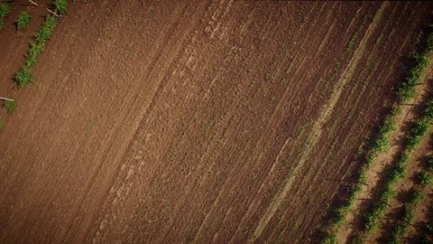 4K Aerial Zoom in Over Corn Planted in G... | Stock Video | Pond5