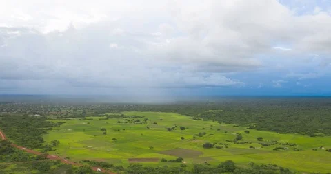 Mp4 Forest Stock Videos – Royalty-Free HD & 4K Videos