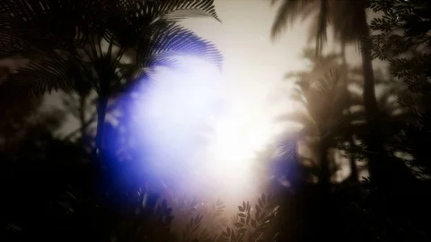 4k Amazing sunset at tropical beach with... | Stock Video | Pond5