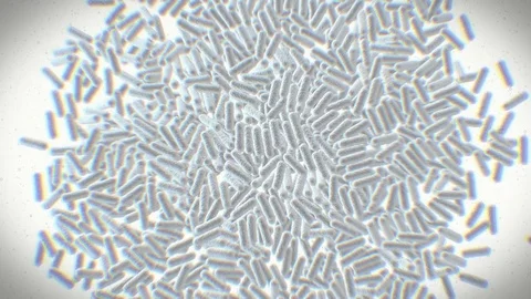 4k animated concept of Bacteria Cell Div... | Stock Video | Pond5