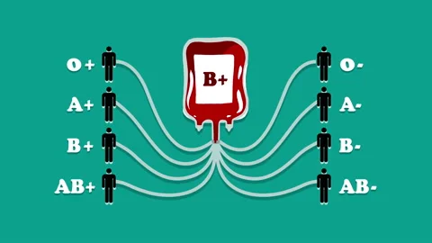 4k animation of blood donation with all ... | Stock Video | Pond5
