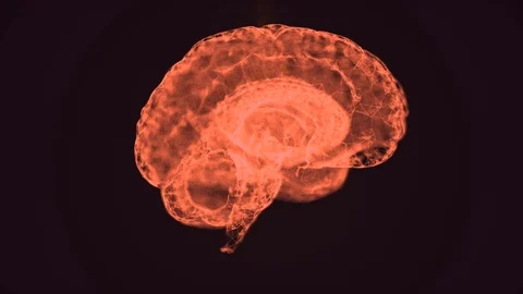 4k animation of brain in fire, glowing a... | Stock Video | Pond5