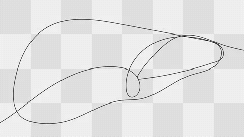 4k animation of a human liver contour on... | Stock Video | Pond5