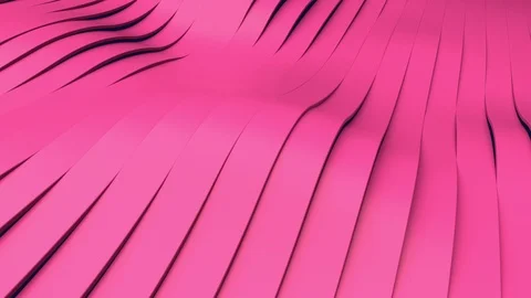 4K Animation of pink rows and stripes. B... | Stock Video | Pond5