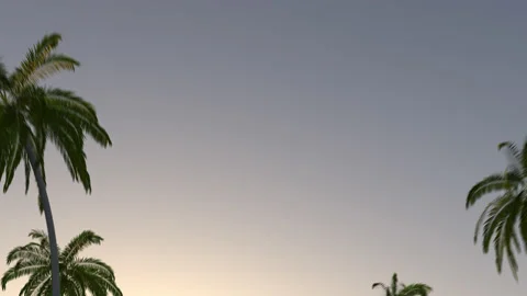 4k Animation of seamless loop of palm tr... | Stock Video | Pond5