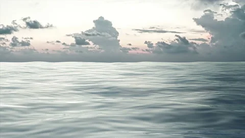 Shark Animation Stock Videos – Royalty-Free HD & 4K Videos