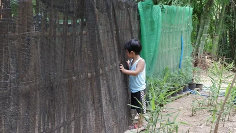 Boy See Stock Videos – Royalty-Free HD & 4K Videos | Page 2