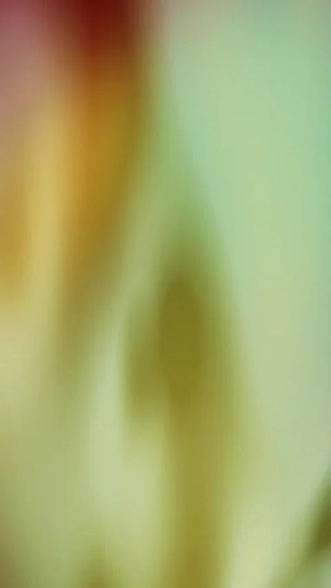 Video Bokeeh Dood Stock Videos – Royalty-Free HD & 4K Videos | Pond5