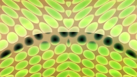 Video Bokep Animal Stock Footage ~ Royalty Free Stock Videos | Pond5