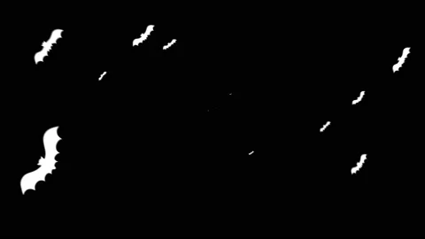 Animal Bat Illustration Stock Videos – Royalty-Free HD & 4K Videos | Page 5