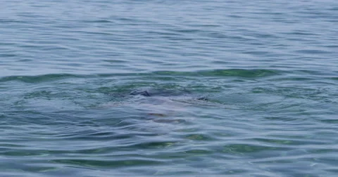 Woman Emerging From Water Stock Video Footage | Royalty Free Woman ...