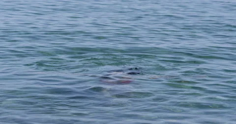 Woman Emerging From Water Stock Video Footage | Royalty Free Woman ...