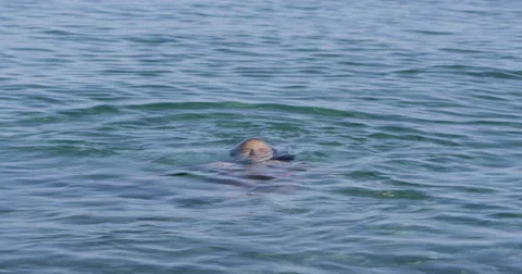 4K Beautiful woman emerging from the wat... | Stock Video | Pond5