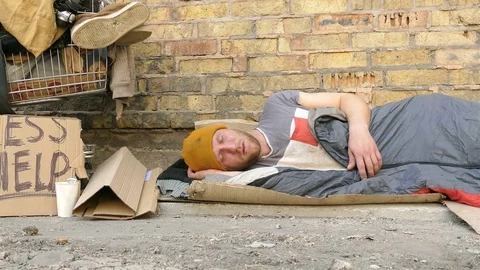 Nap Shoot Stock Videos – Royalty-Free HD & 4K Videos