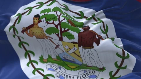 4k Belize National flag wrinkles loop se... | Stock Video | Pond5