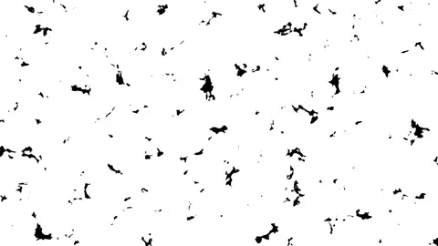 4K Black And White Fire Burn Paper Trans... | Stock Video | Pond5