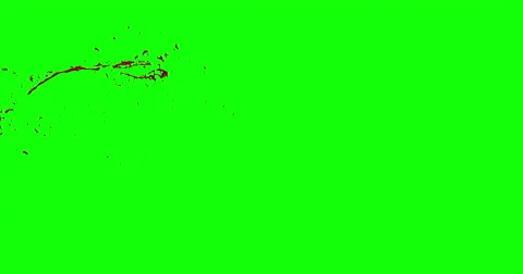 4k Blood Burst Slow Motion (Green Screen... | Stock Video | Pond5