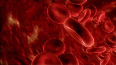4K Blood Cells | Stock Video | Pond5