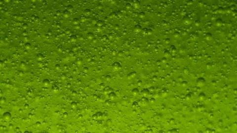 Soapy Rain Drop Stock Videos – Royalty-Free HD & 4K Videos