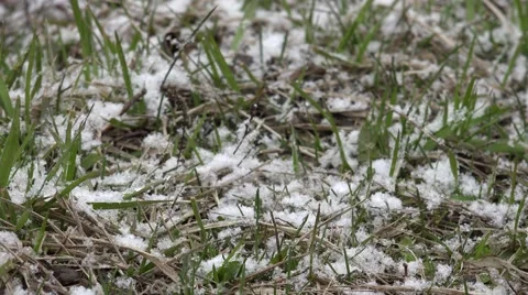 Calm Storm Stock Videos – Royalty-Free HD & 4K Videos | Page 5