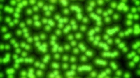 Cell Splitting Stock Video Footage | Royalty Free Cell Splitting Videos ...